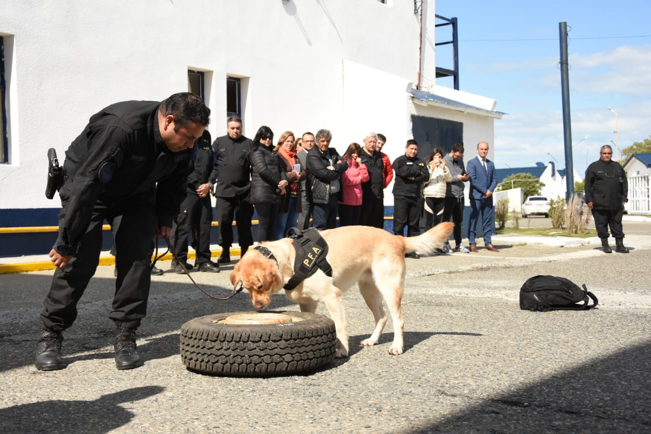 Capacitaron a perros para la detección de drogas — La 97 Radio Fueguina